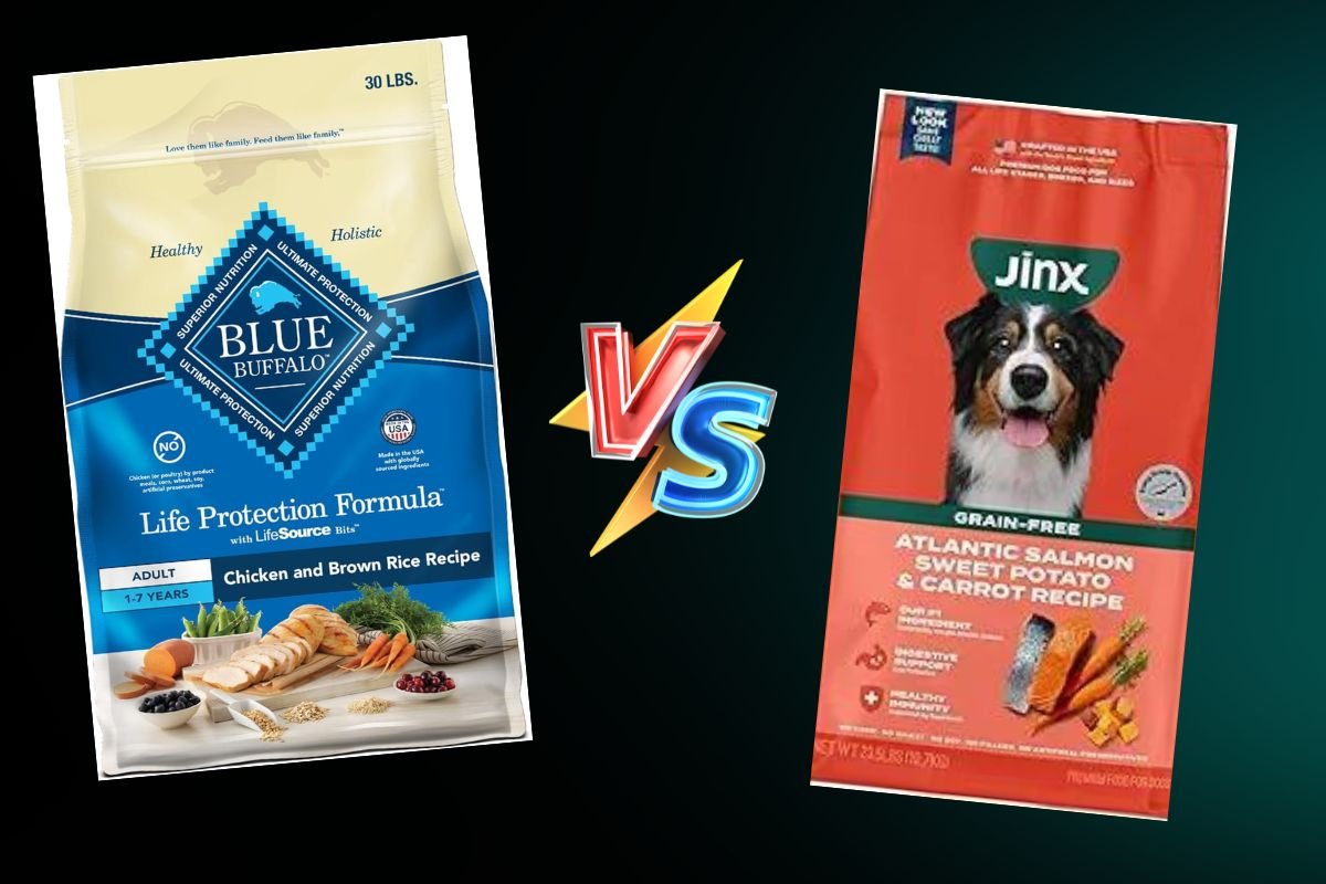 Jinx vs Blue Buffalo 2024: Which Pet Food Brand Comes Out on Top? – OH ...